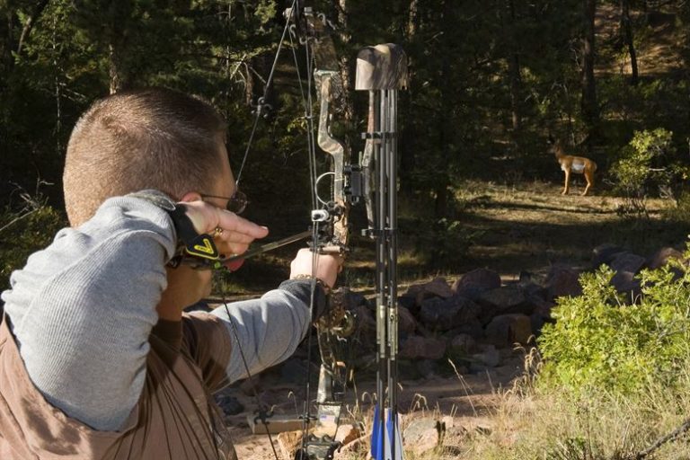 How Archery Sights Work: The Easiest Way to Sight In a Bow - Archery Dude
